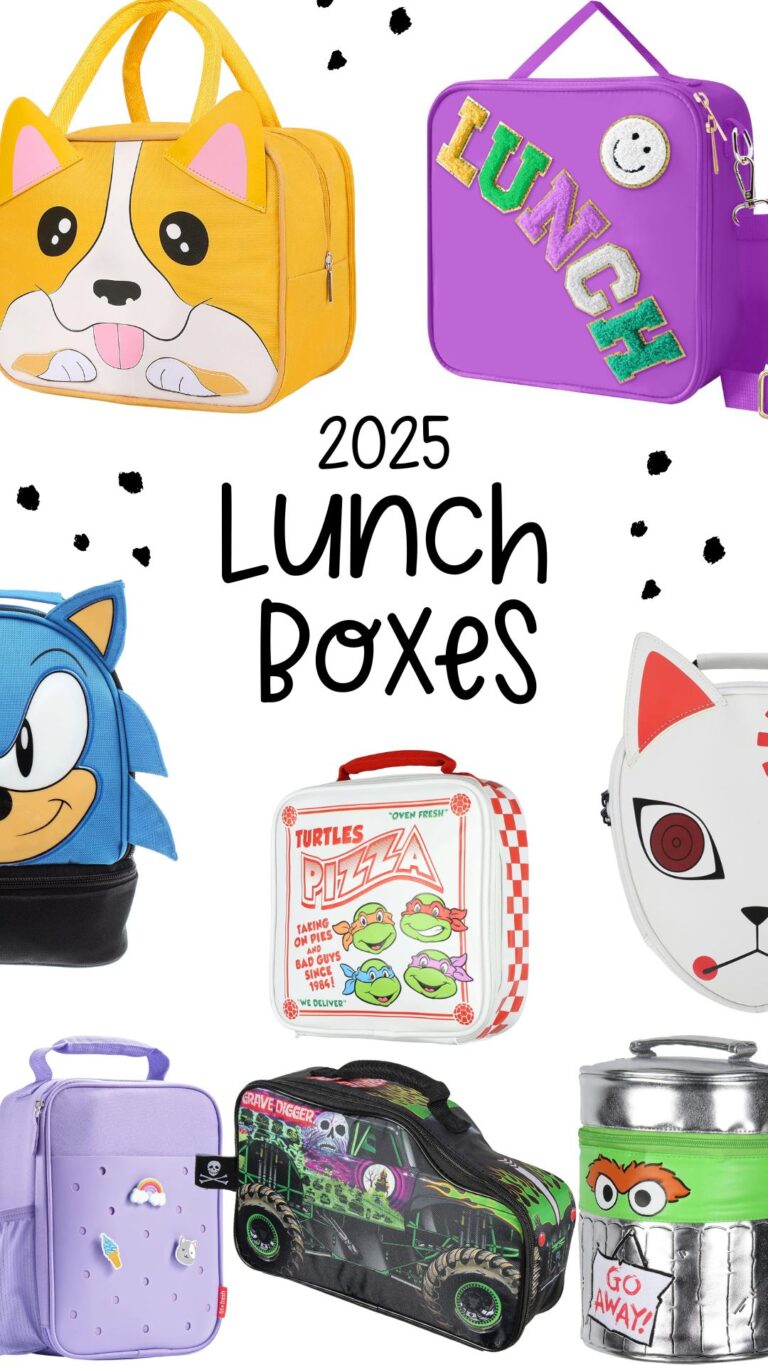25 Trending Lunch Boxes for Kids (2025 Edition) - Love and Marriage